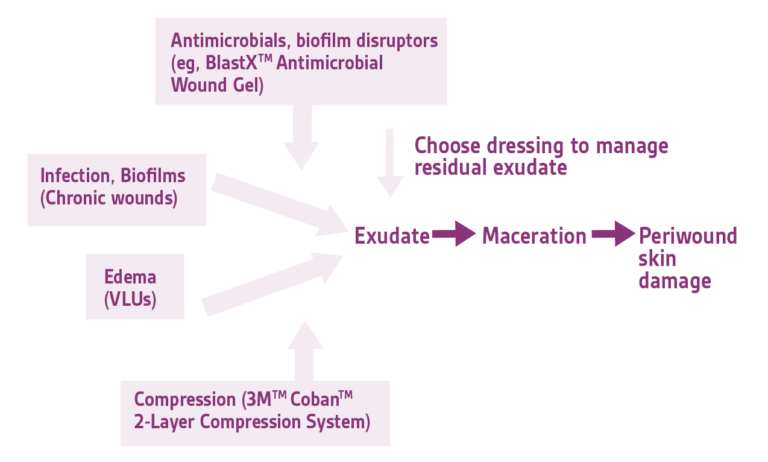 Periwound moisture-associated skin damage: An overview of etiology and ...
